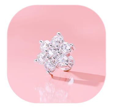 Nose Pins and Nose Rings